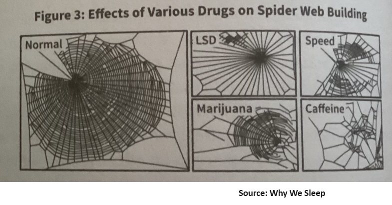 Coffee and what it does to your body – BBC | Global Macro Monitor